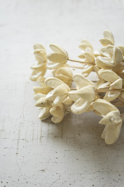 Bullet Flower Stem Set – Blume Organics